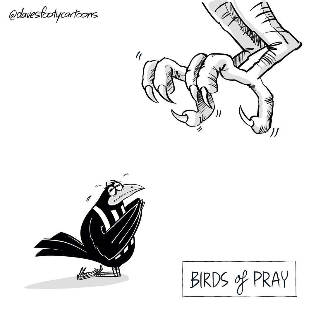 Birds of Pray – Dave's Footy Cartoons